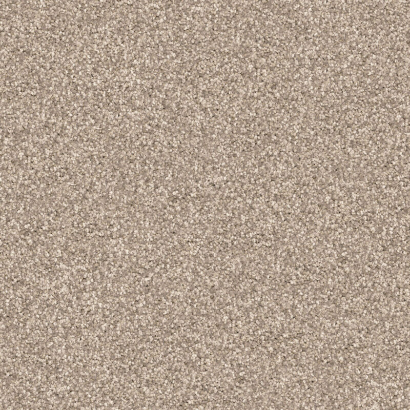 Carpet Baltimore - 6 Area Carpet Stores - Next Day Floors